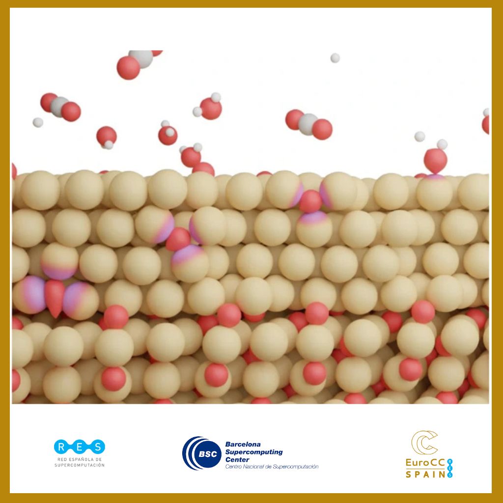 Simulación avanzada de interfaces catalíticas complejas para la ...